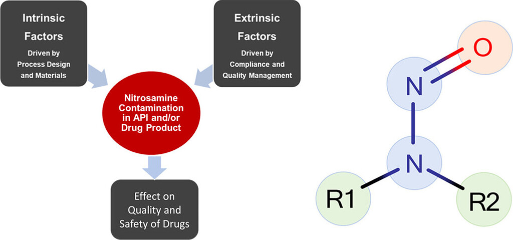 Journal of Pharmaceutical Sciences is dedicating a Special Issue to the ...
