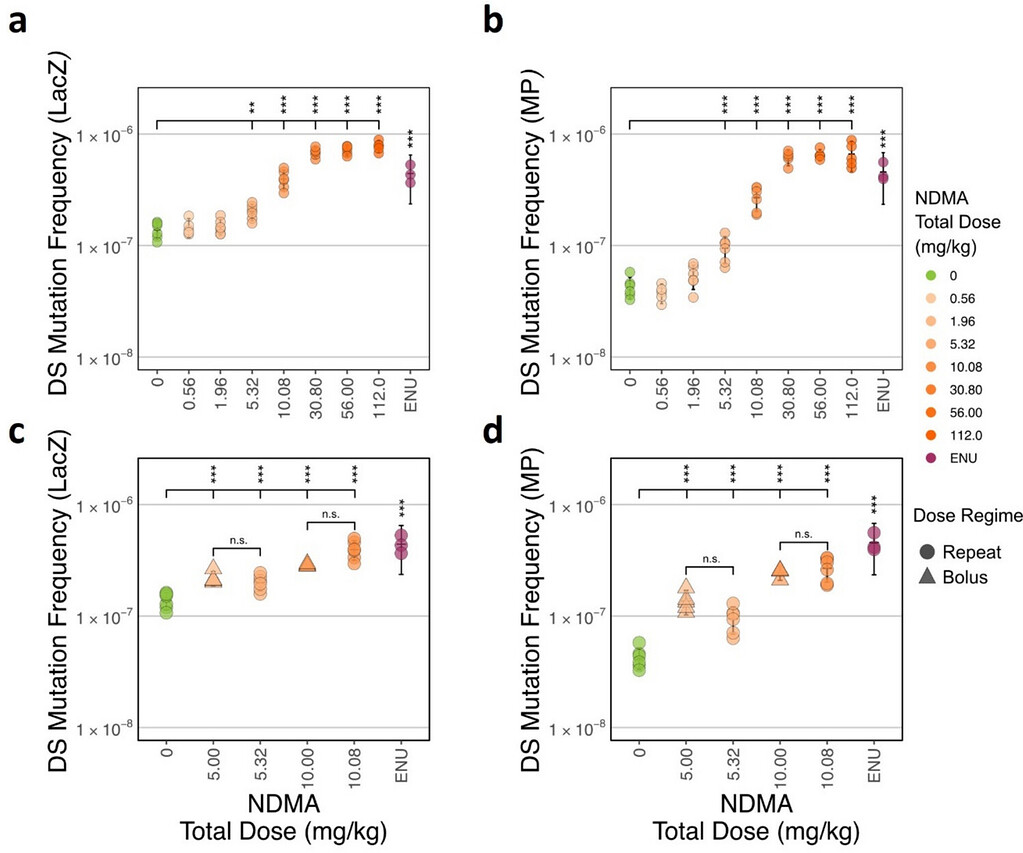 Alignment between Duplex Sequencing and transgenic rodent mutation ...