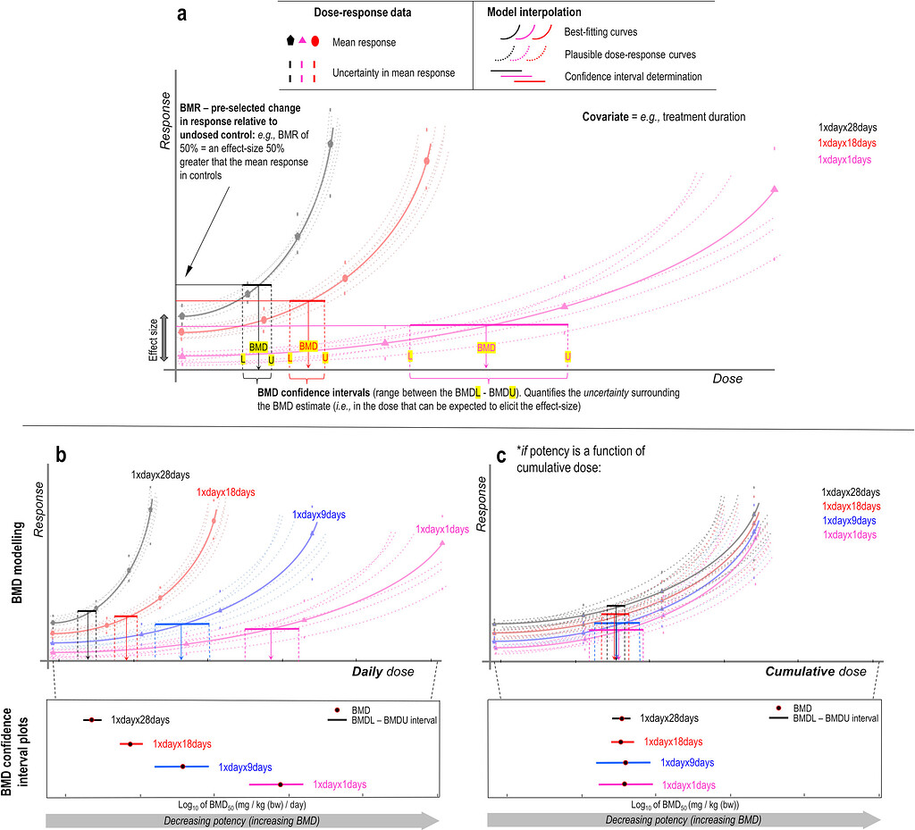 Mutagenic and carcinogenic potency determinations for NDMA support the ...
