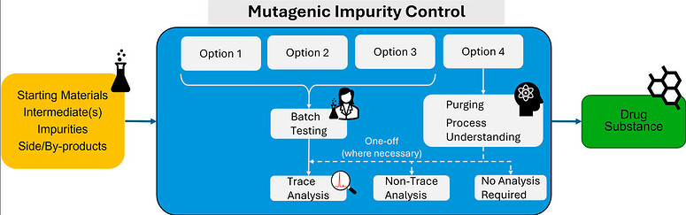 Leveraging ICH M7 Control Options 3 and 4: Discussion and Clarification ...